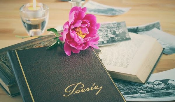 Anáfora: Figura Retórica Y Gramatical. 47 Ejemplos ⭐ - Escuela De Letras