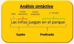 El Análisis Sintáctico, Función Y 10 Ejemplos ⭐ - Escuela De Letras
