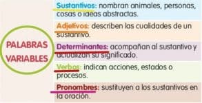 PALABRAS VARIABLES E INVARIABLES » Definición, Usos Y 70 Ejemplos