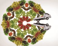 ADJUNCIÓN » Significado, Definición, Formas Y 15 Ejemplos