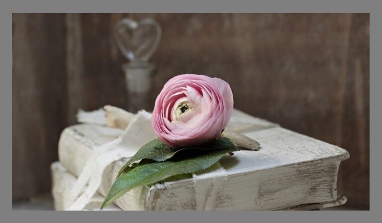 EPÍTETO » Definición, Significado Y 110 Ejemplos Explicativos