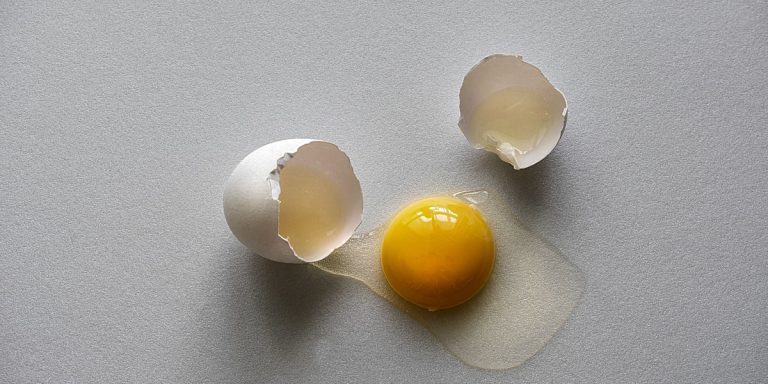 ORACIONES CON LA PALABRA YEMA » 26 Ejemplos De Frases