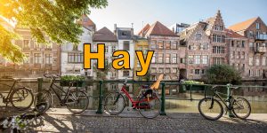 ORACIONES CON LA PALABRA HAY » 35 Ejemplos De Frases